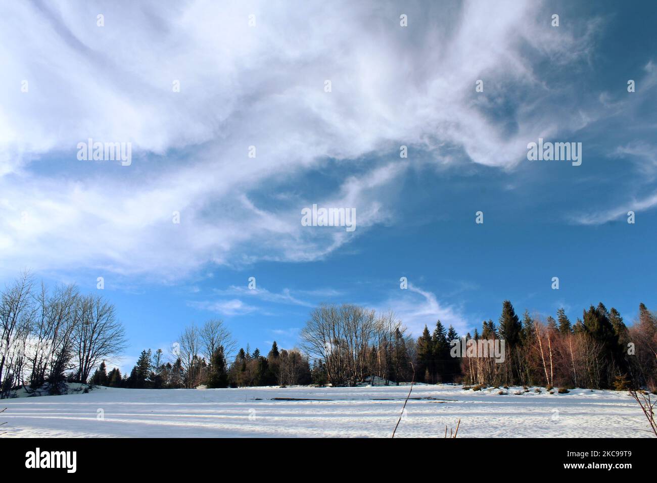 A low angle shot of a field covered with snow against a forest under a ...