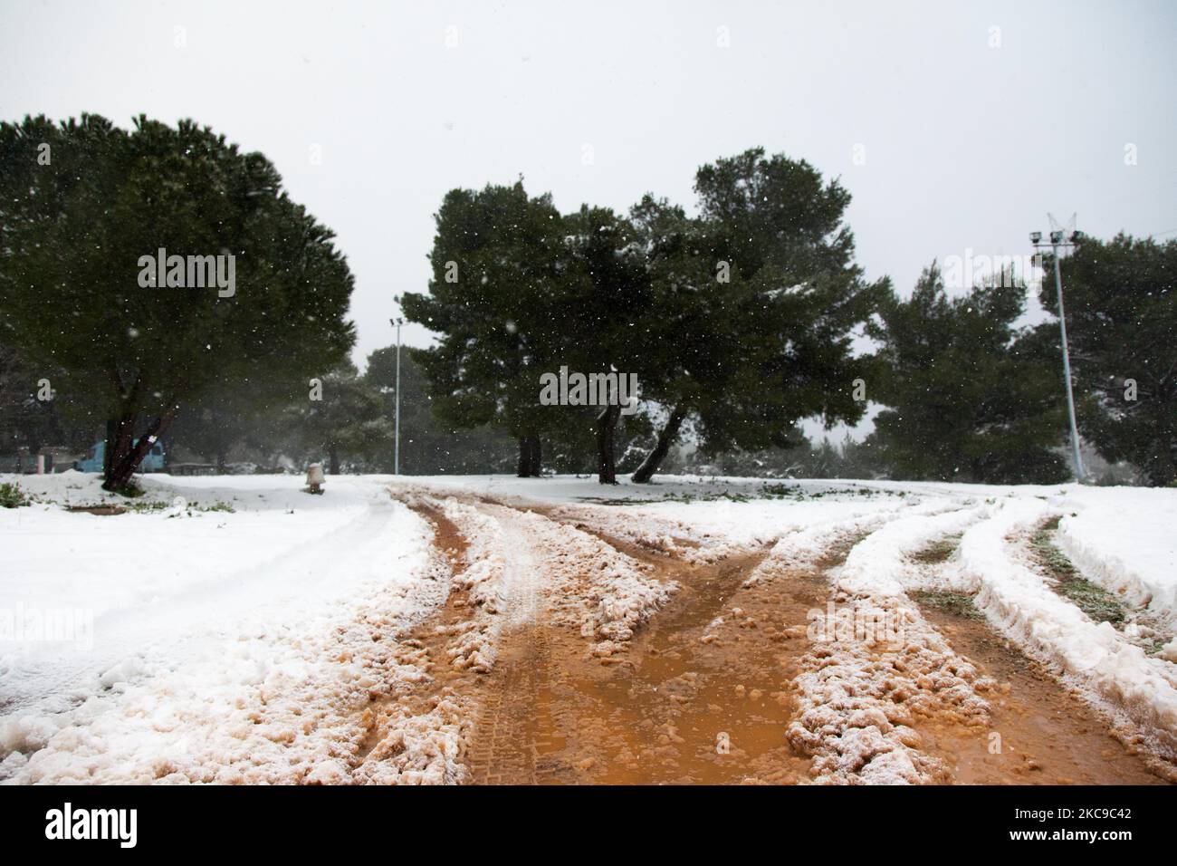 Athens turned into snow-globe scene, as city wakes the next day to a ...