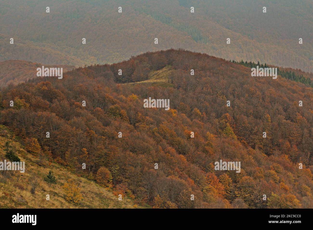 A range of high mountains covered with colorful trees in autumn Stock ...