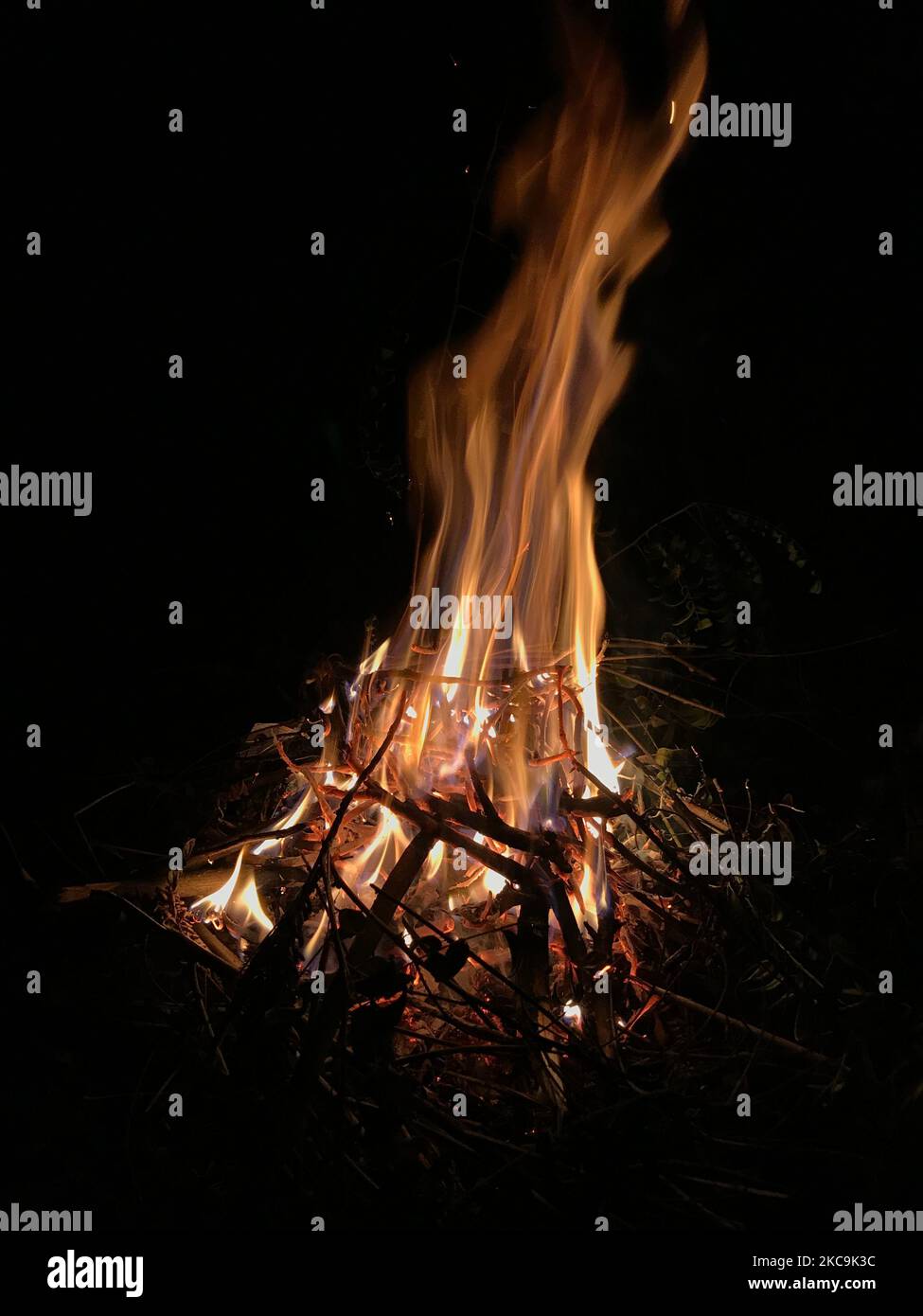 Campfire in the forest at night with long flame Stock Photo - Alamy