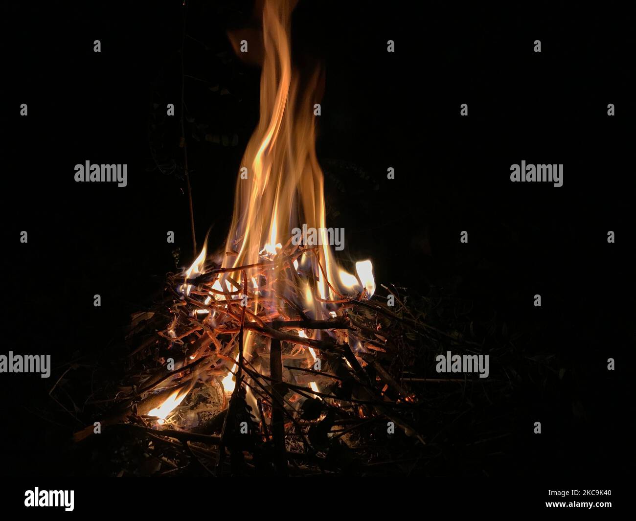 Campfire in the forest at night with long flame Stock Photo - Alamy