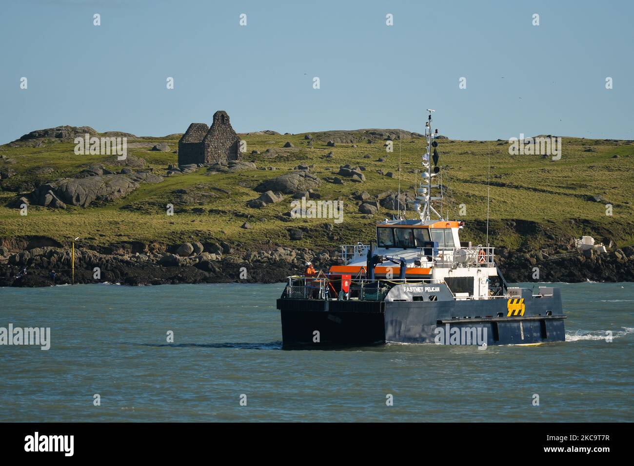Fastnet pelican hi-res stock photography and images - Alamy
