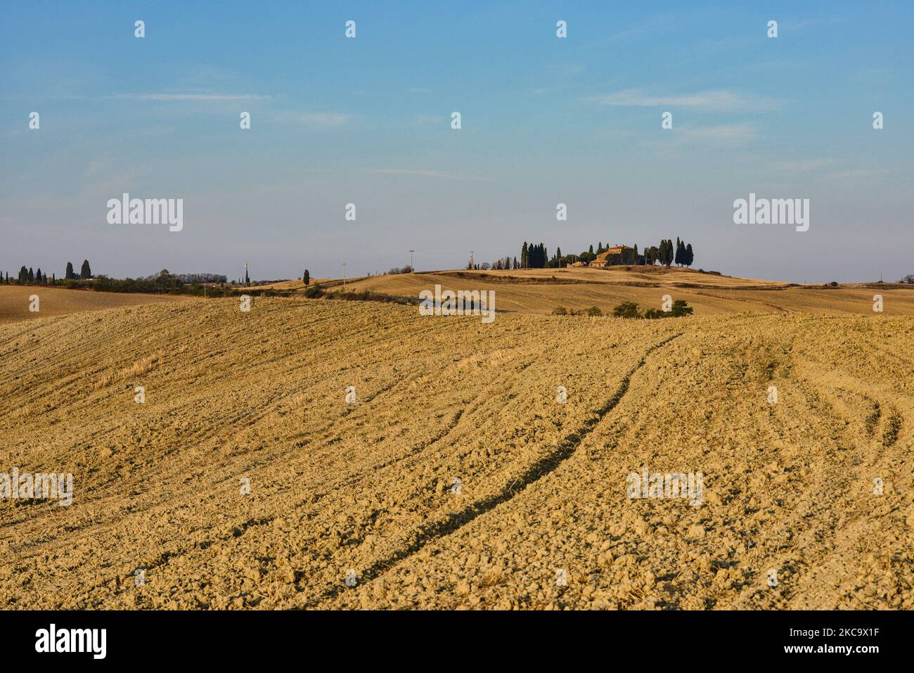 An aerial view of field surrounded by trees Stock Photo - Alamy