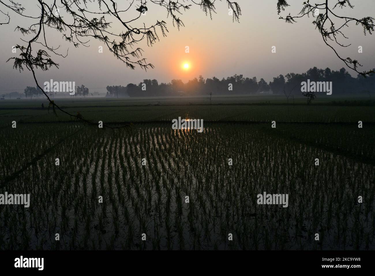Jamalpur district outskirts of dhaka hi-res stock photography and ...