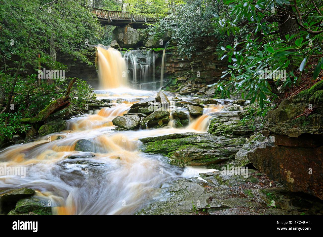 Amber water of Shay Run - West Virginia Stock Photo - Alamy