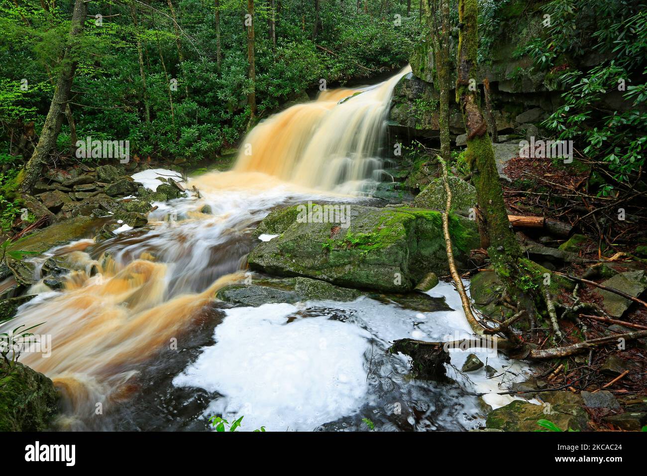 Shay run hi-res stock photography and images - Alamy