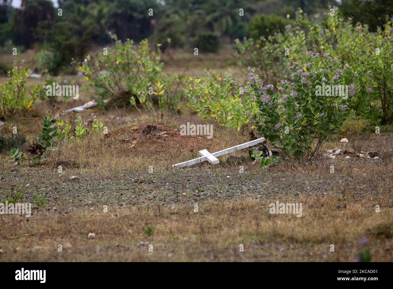 Toppled grave markers in a cemetery for LTTE (Liberation Tigers of ...