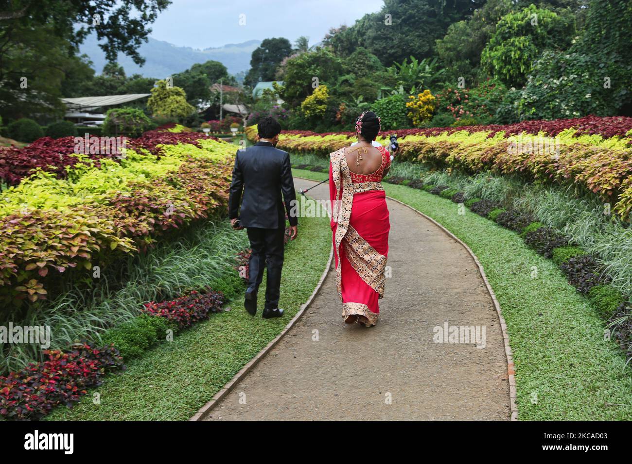 Newly married Sri Lankan Sinhalese walk through the Royal Botanical Gardens in Peradeniya, Sri ...