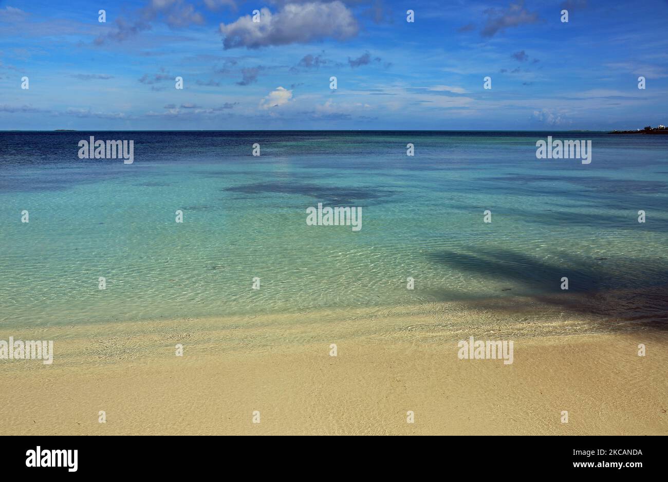 Idyllic beach - The Bahamas Stock Photo - Alamy