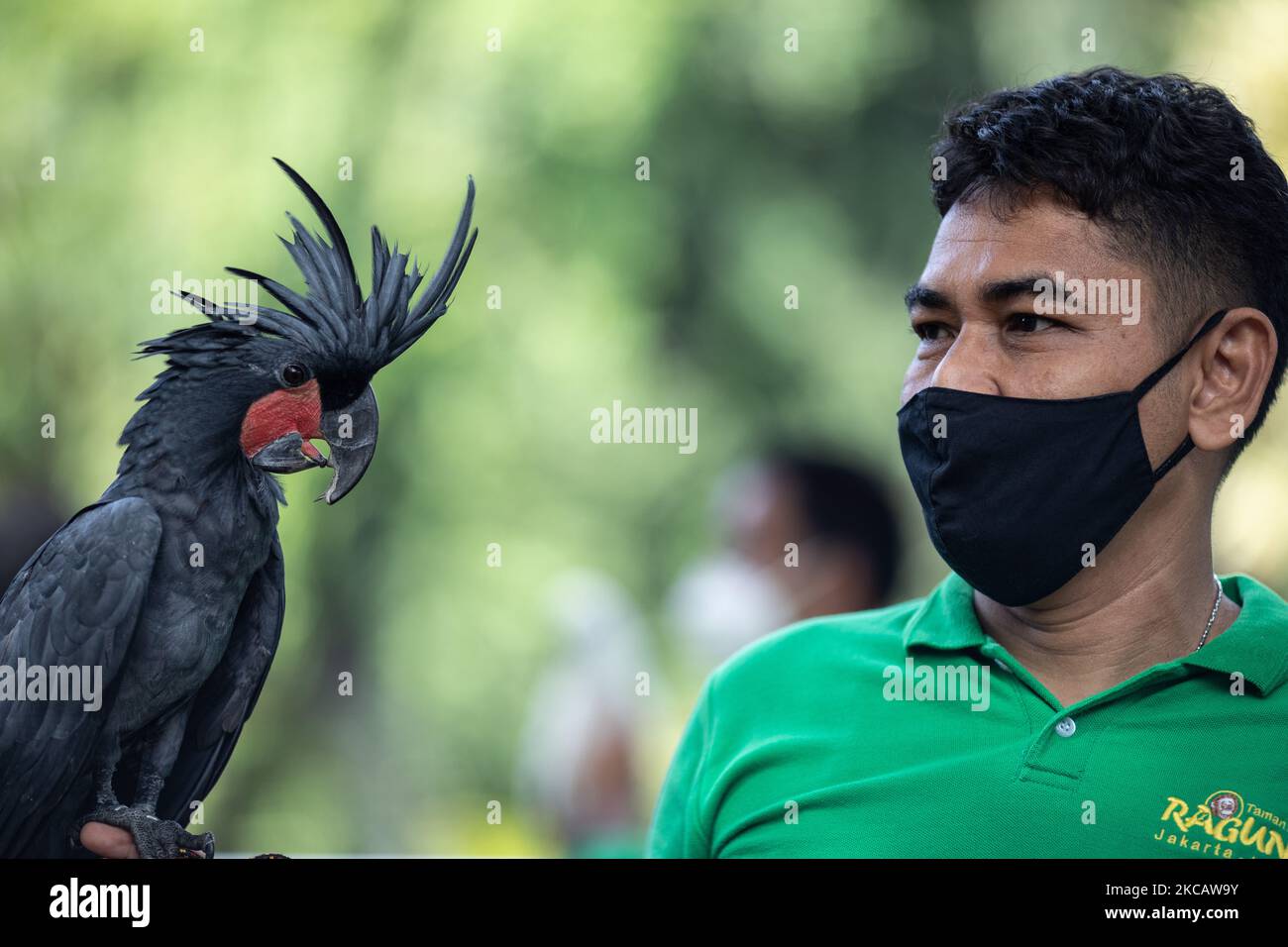 Zoo officer hi-res stock photography and images - Alamy