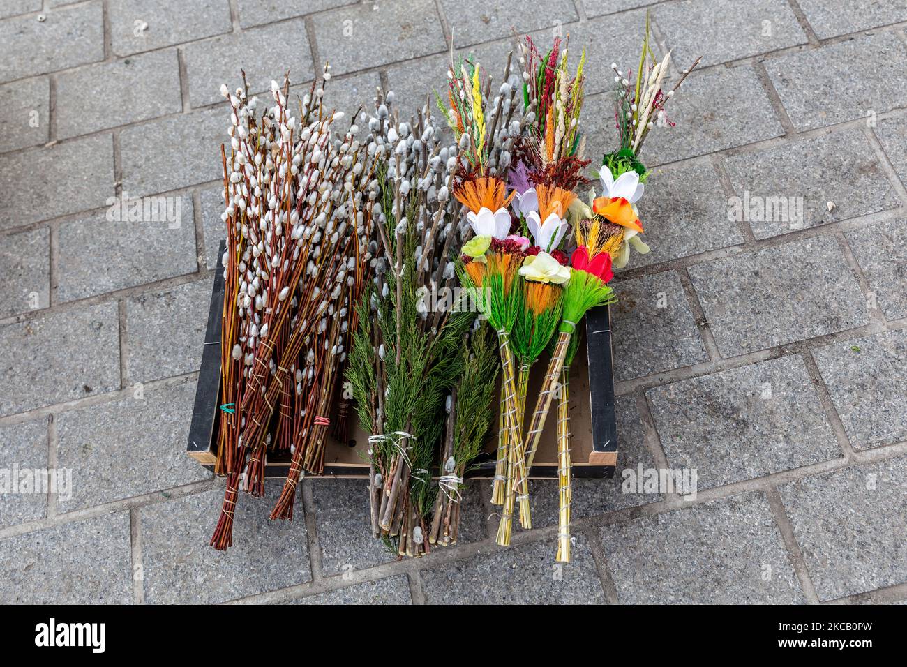 Hand picked ament plant hi-res stock photography and images - Alamy