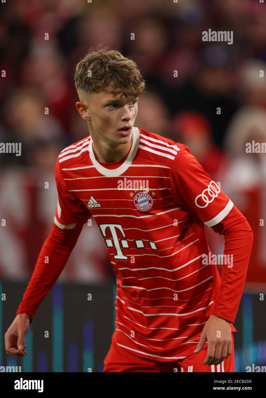 Wanner paul hi-res stock photography and images - Alamy