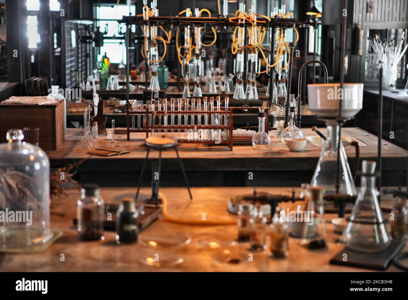 Thomas Edison's botanical research laboratory at the Thomas Edison and ...