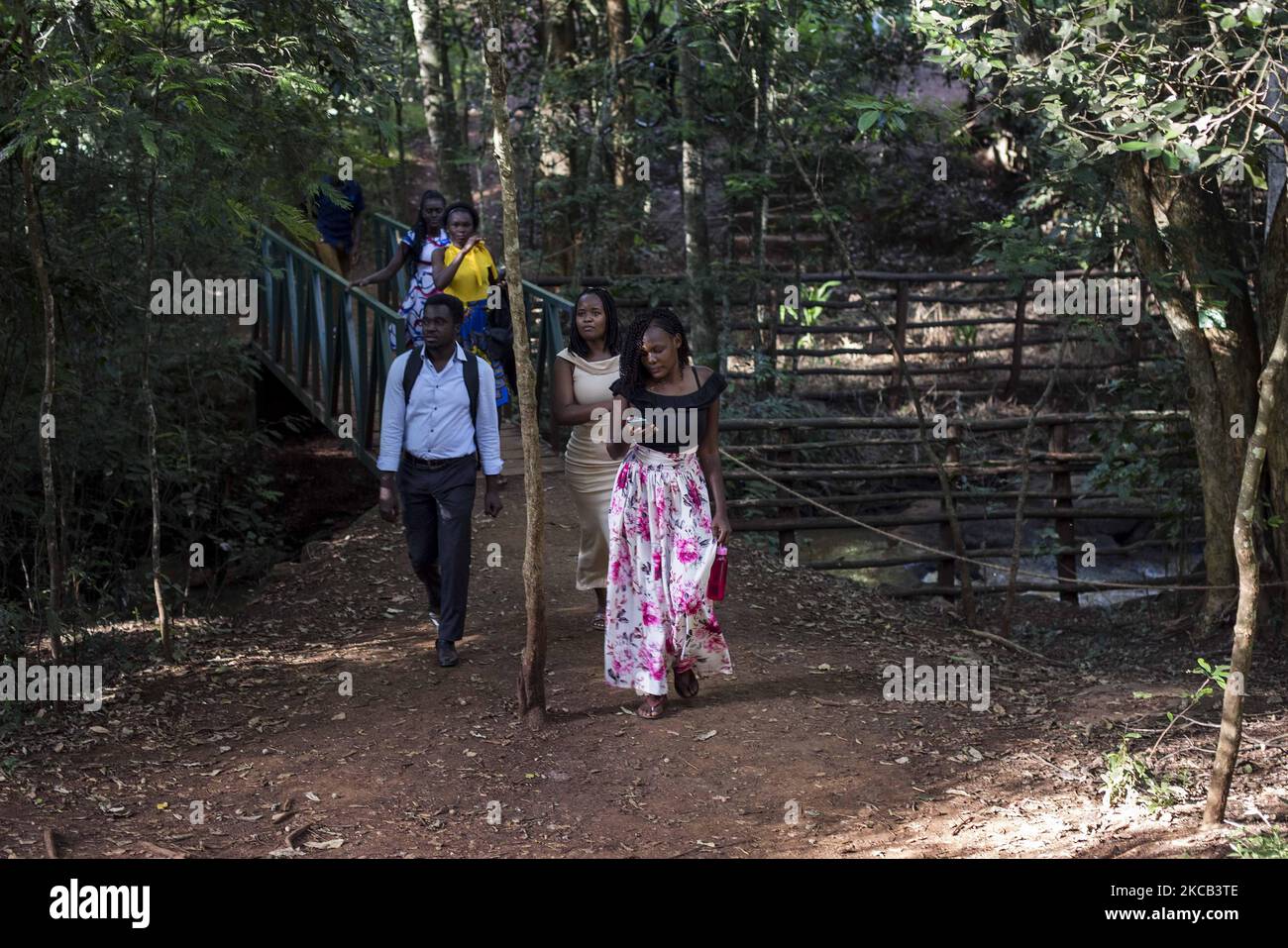 A Walk Along Karura Forest, One Of The Biggest Urban Forests In The ...