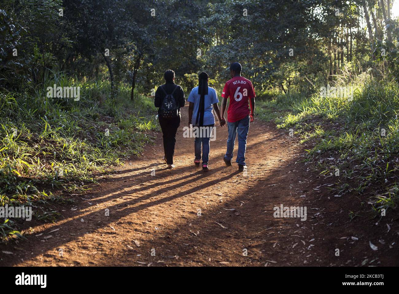 Biggest urban forests hi-res stock photography and images - Alamy