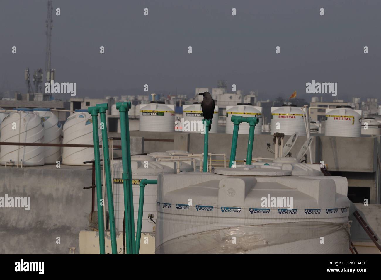 A Crow sits on a Plastic Storage Tank installed on top of a residential ...