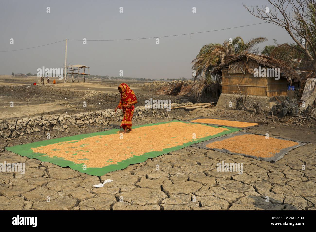 Soil salinity field hi-res stock photography and images - Alamy