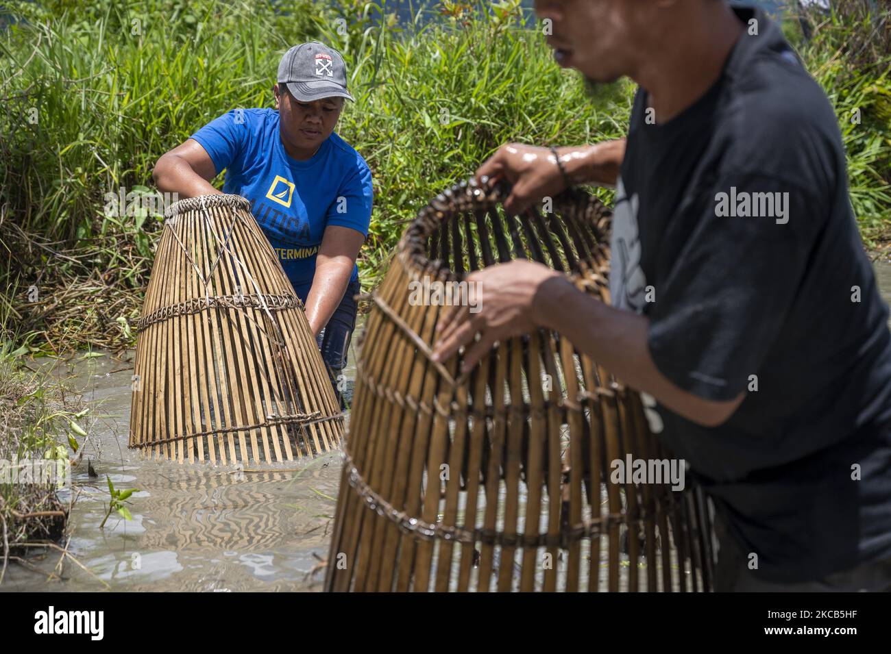 People catch fish together in the "Mokarea" tradition in Bariri Village ...