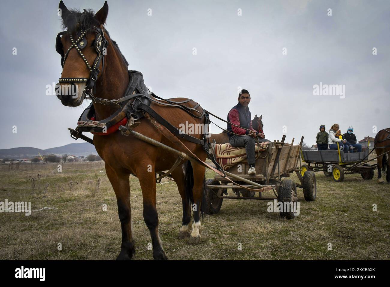Man on his horse wagon during celebration of Todorov Den also known as ...