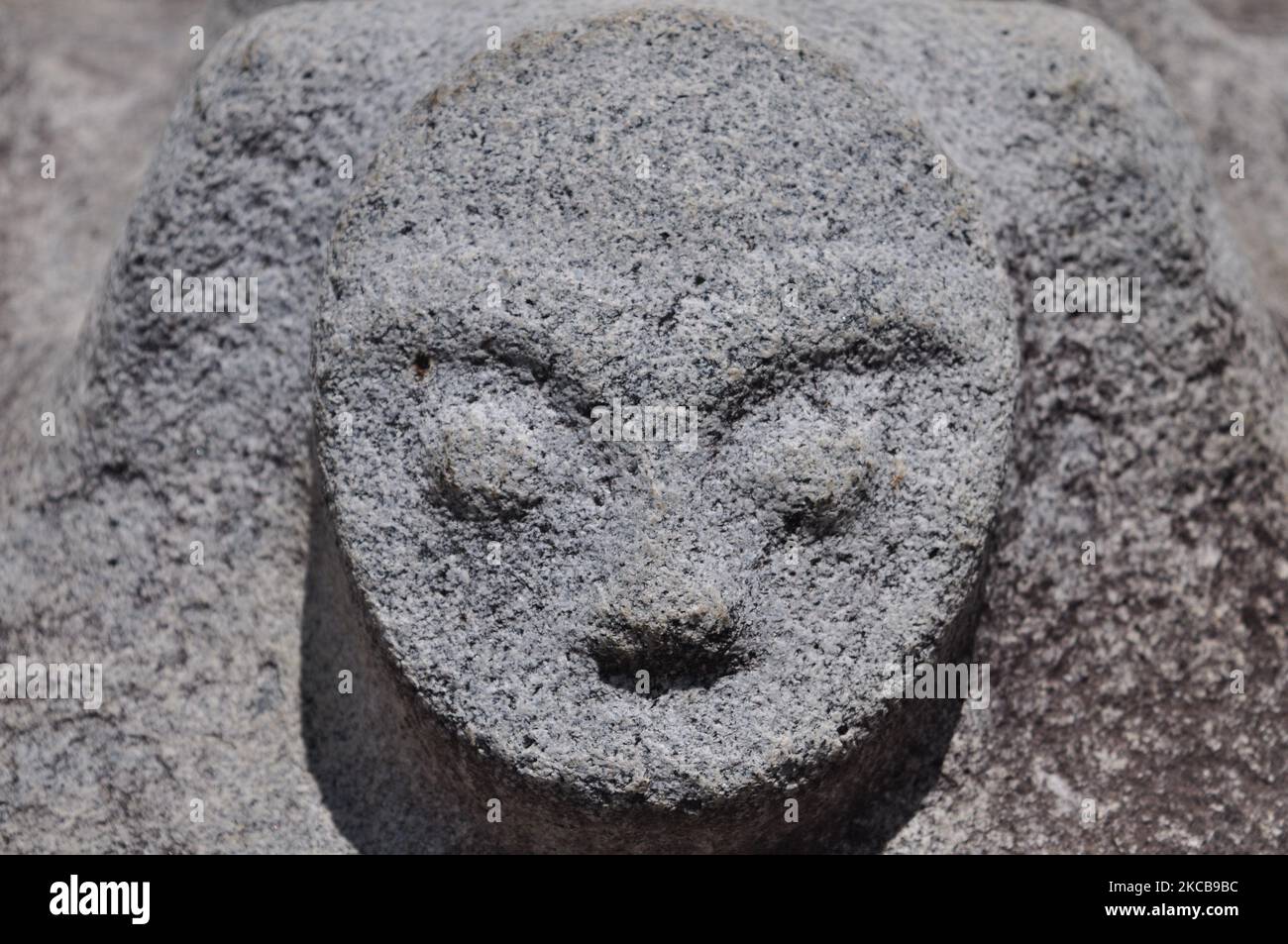The megalithic carvings of Pokekea resembling human faces with statues ...