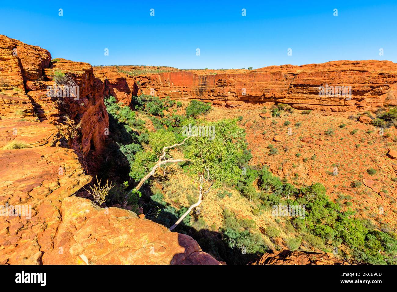 Kings Canyon cliffs in Australia Outback Red Center, Northern Territory ...