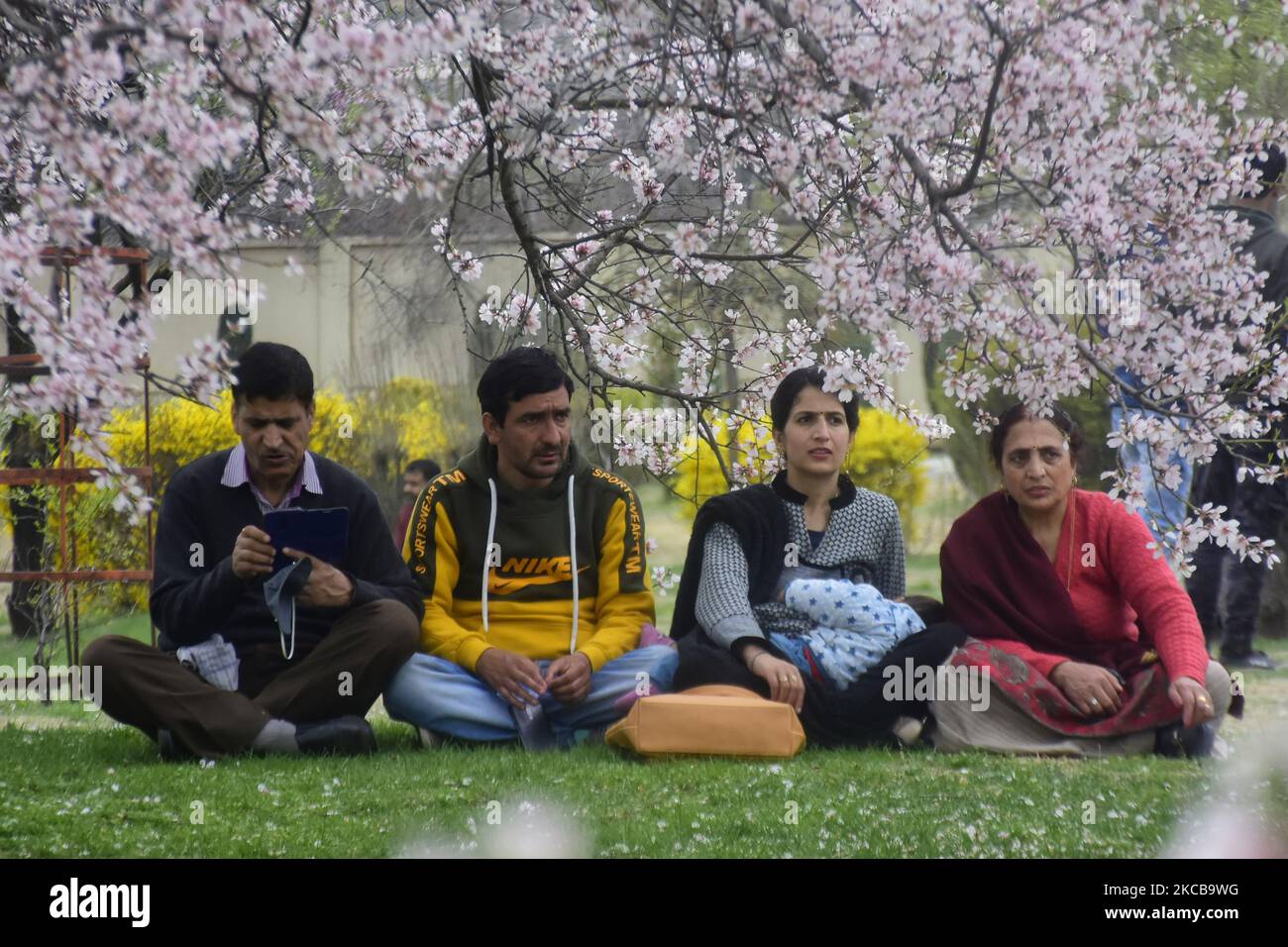 A family sits inside Badamwari garden in Srinagar, Indian Administered ...
