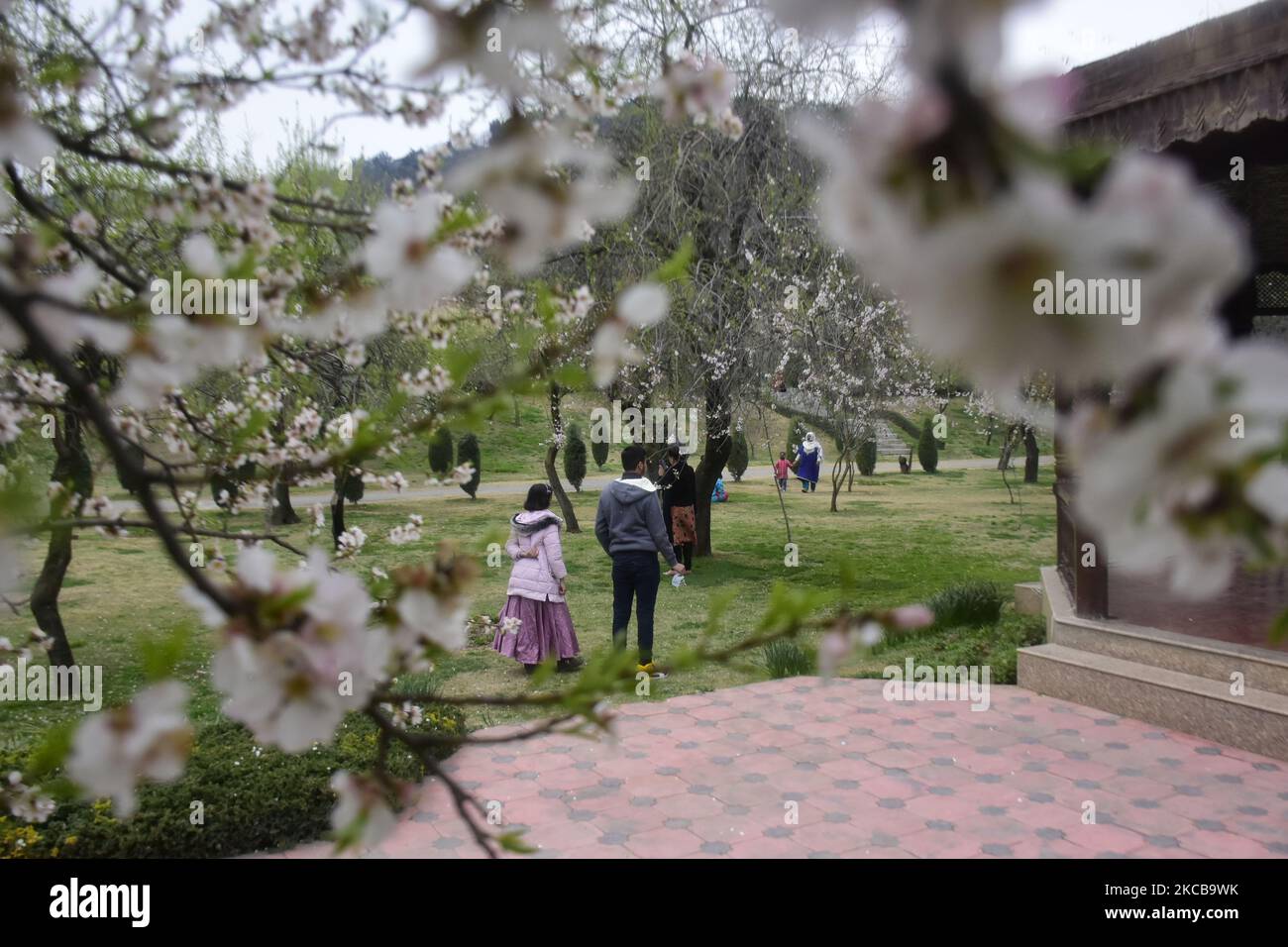 People walk inside Badamwari garden in Srinagar, Indian Administered ...