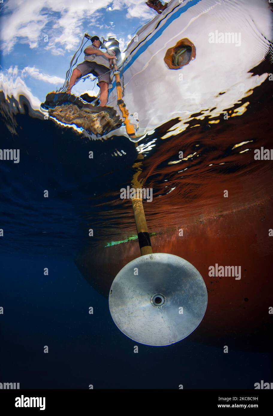 Scientist using hydrophone to listen to whale songs Stock Photo - Alamy