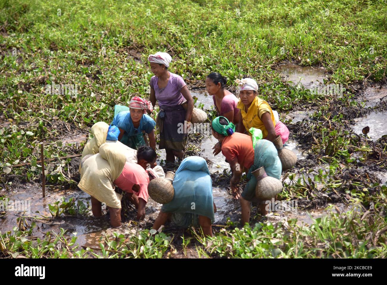 Tiwa tribe hi-res stock photography and images - Alamy