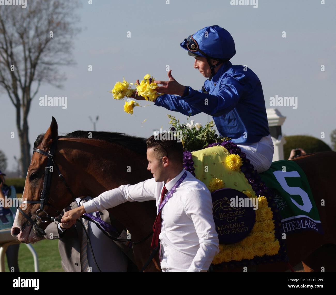 Mischief magic horse hi-res stock photography and images - Alamy