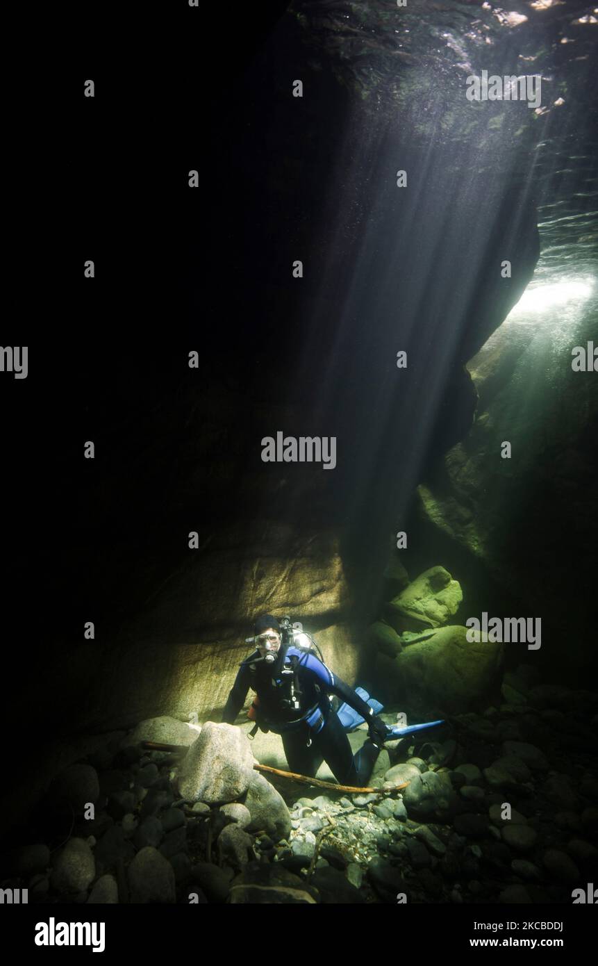A scuba diver in in Heber River on Vancouver Island, Canada Stock Photo ...