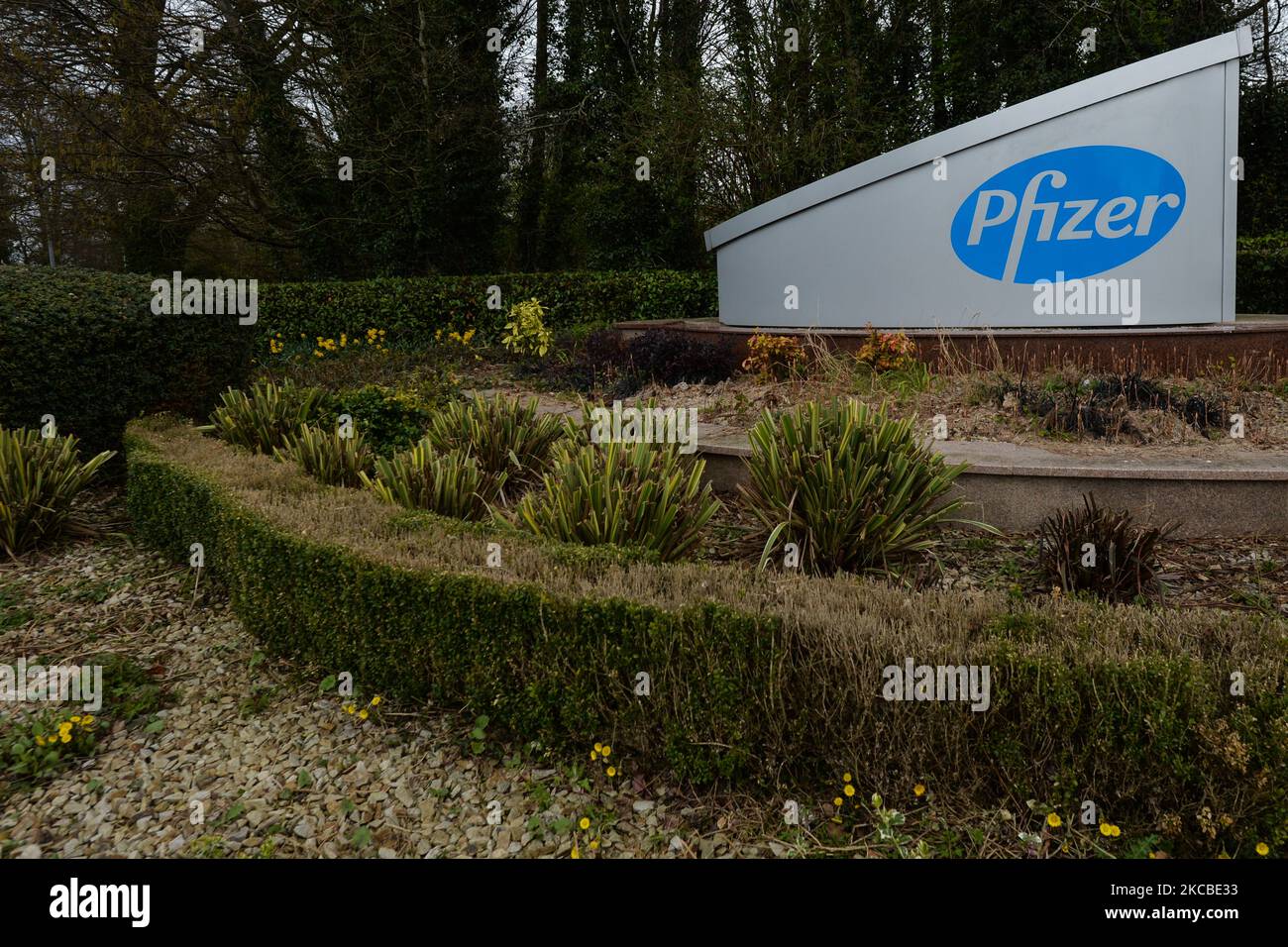 Logo of Pfizer pharmaceutical company seen in Newbridge. On Wednesday ...