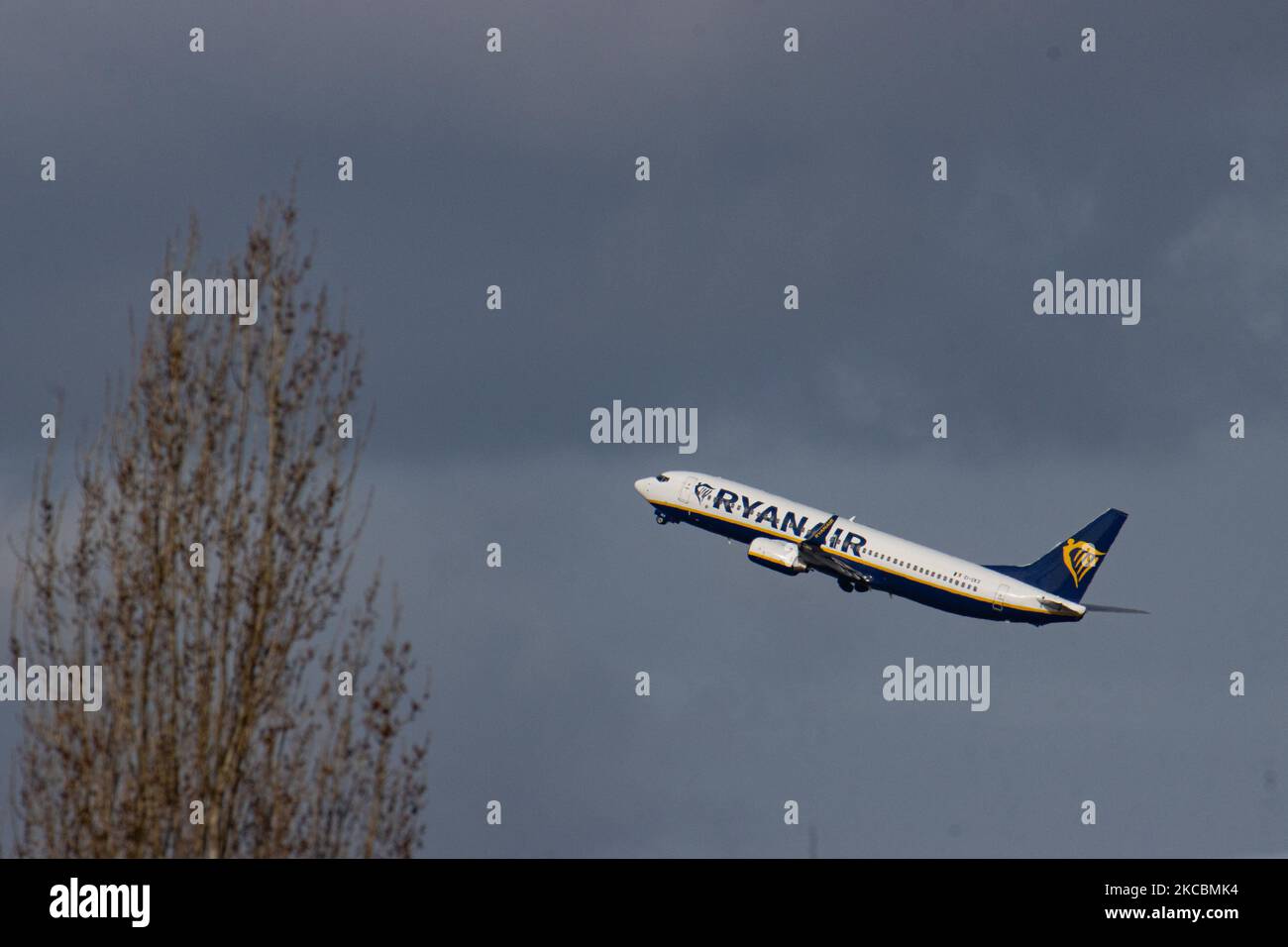 Irish revenue logo hi-res stock photography and images - Alamy