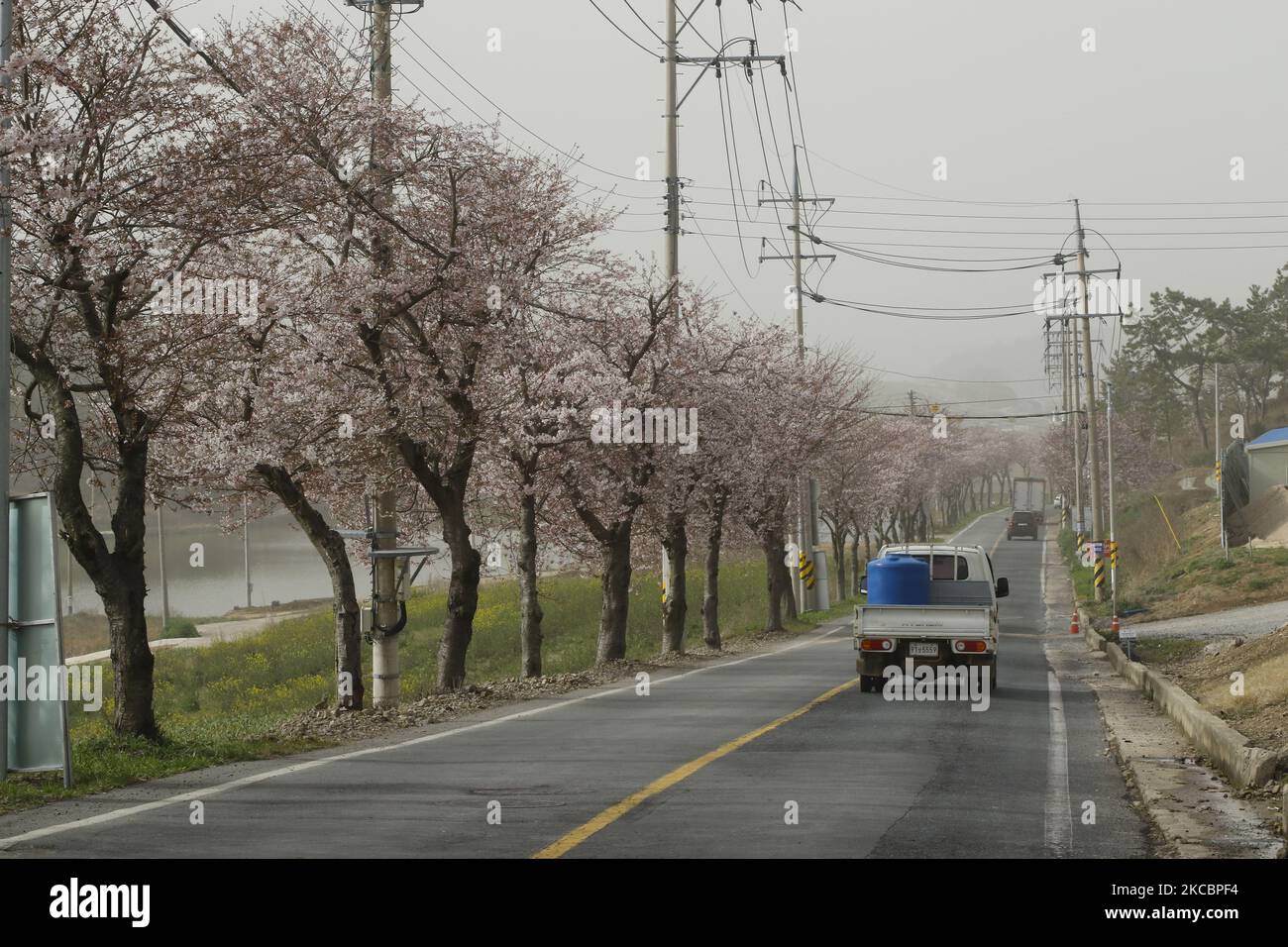 A Worst Yellow Dust covered island village in Shinan-Gun, south west of ...