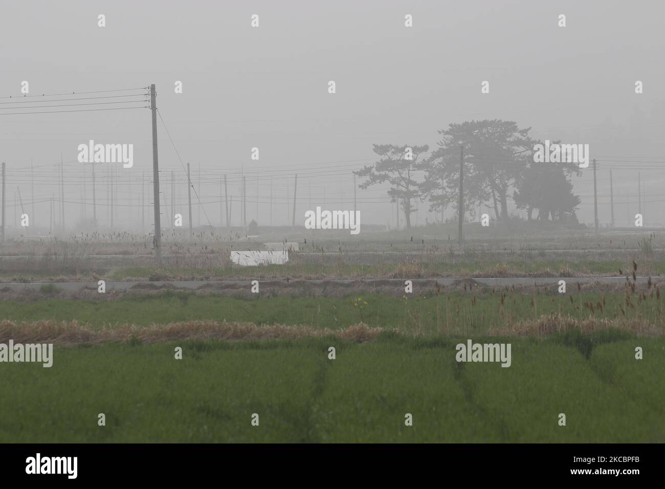 A Worst Yellow Dust covered island village in Shinan-Gun, south west of ...