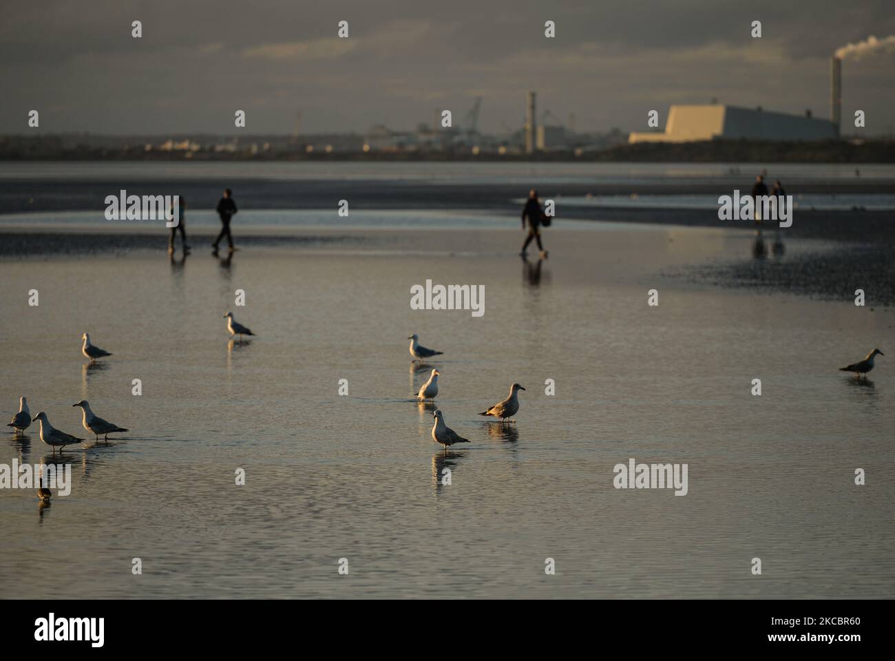Alog seapoint beach hi-res stock photography and images - Alamy