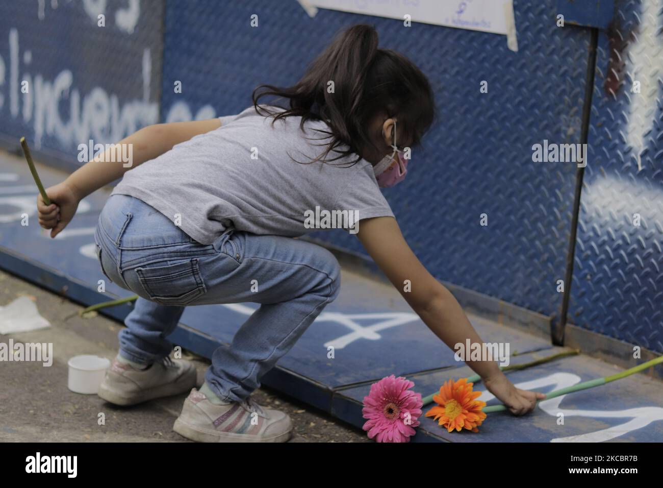 A girl intervenes with flowers on metal fences outside the Quintana Roo ...