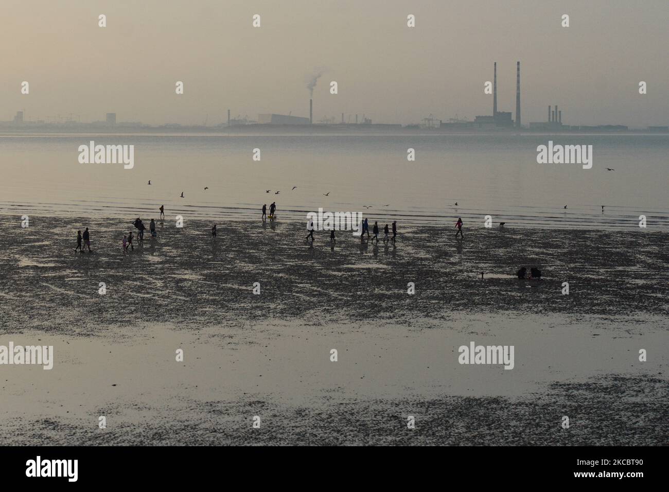 Recreational razor clam pickers hi-res stock photography and images - Alamy
