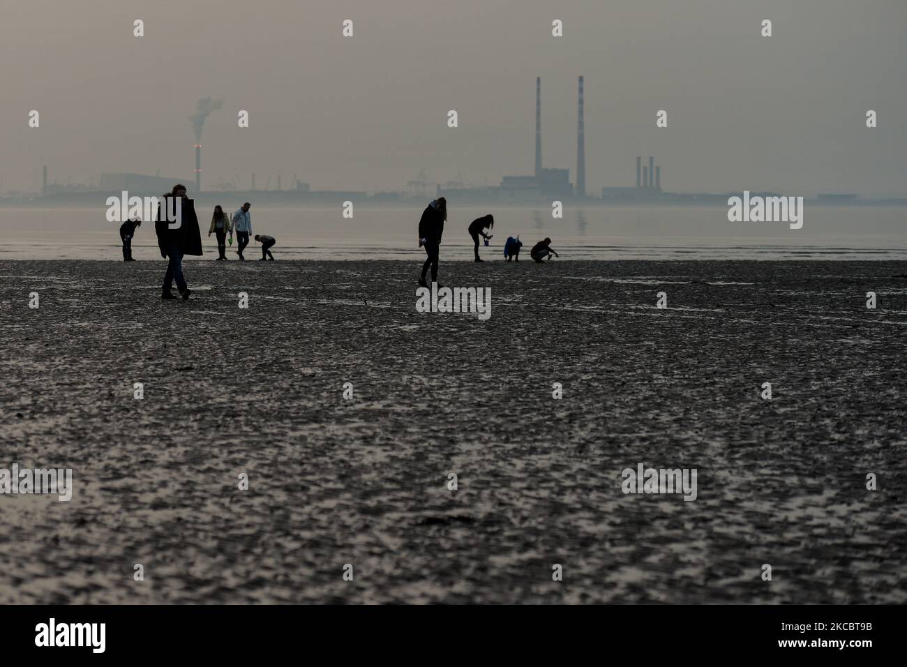 Recreational razor clam pickers hi-res stock photography and images - Alamy
