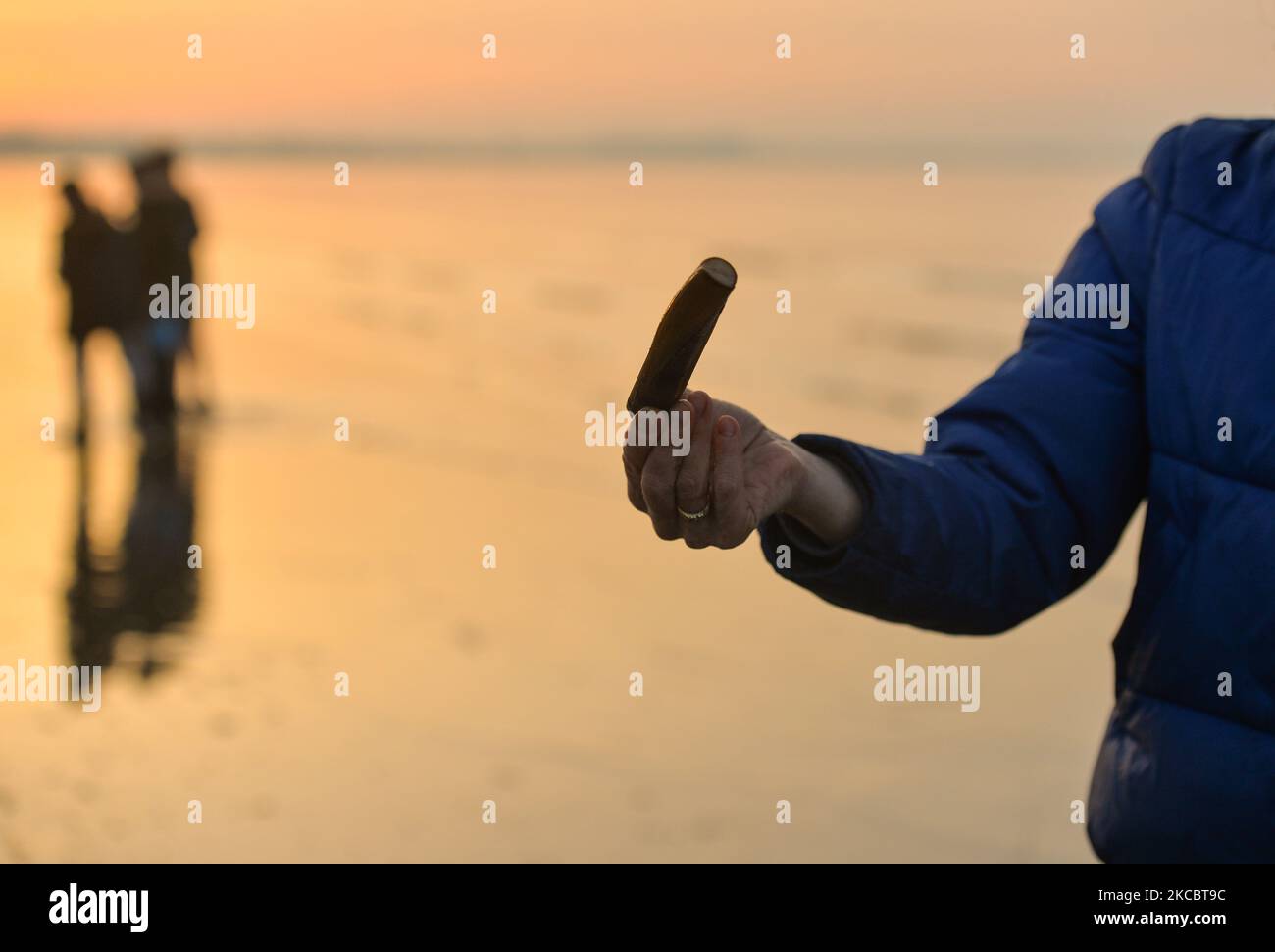 Recreational razor clam pickers hi-res stock photography and images - Alamy