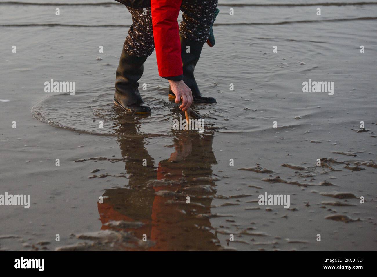 Recreational razor clam pickers hi-res stock photography and images - Alamy