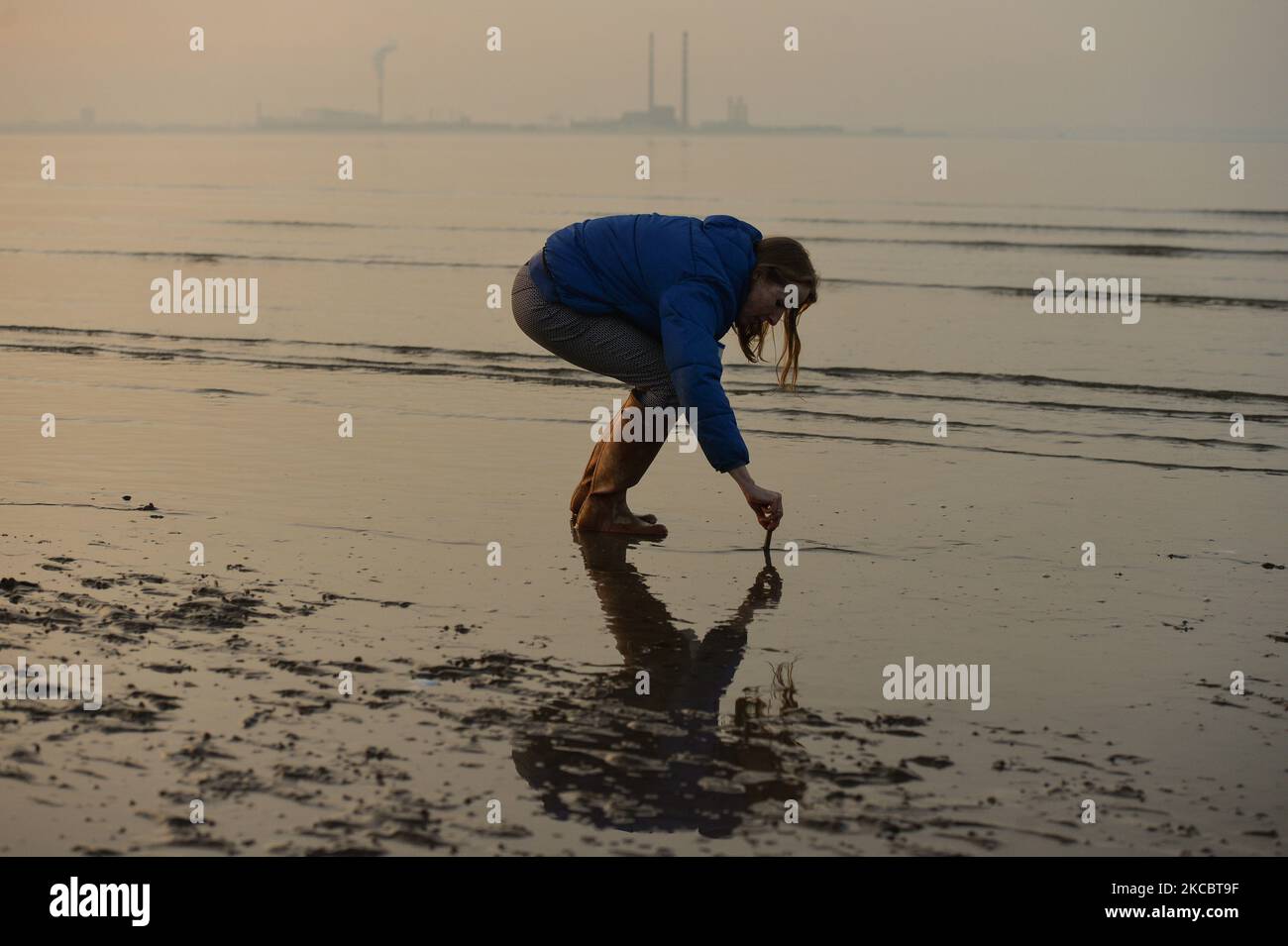 Razor clam picker hi-res stock photography and images - Alamy
