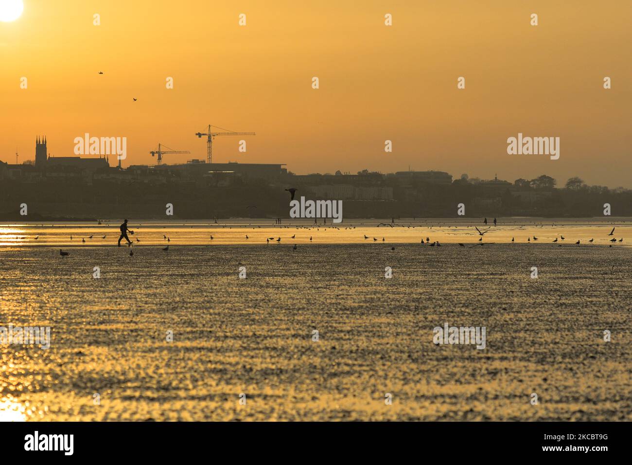 Recreational razor clam pickers hi-res stock photography and images - Alamy