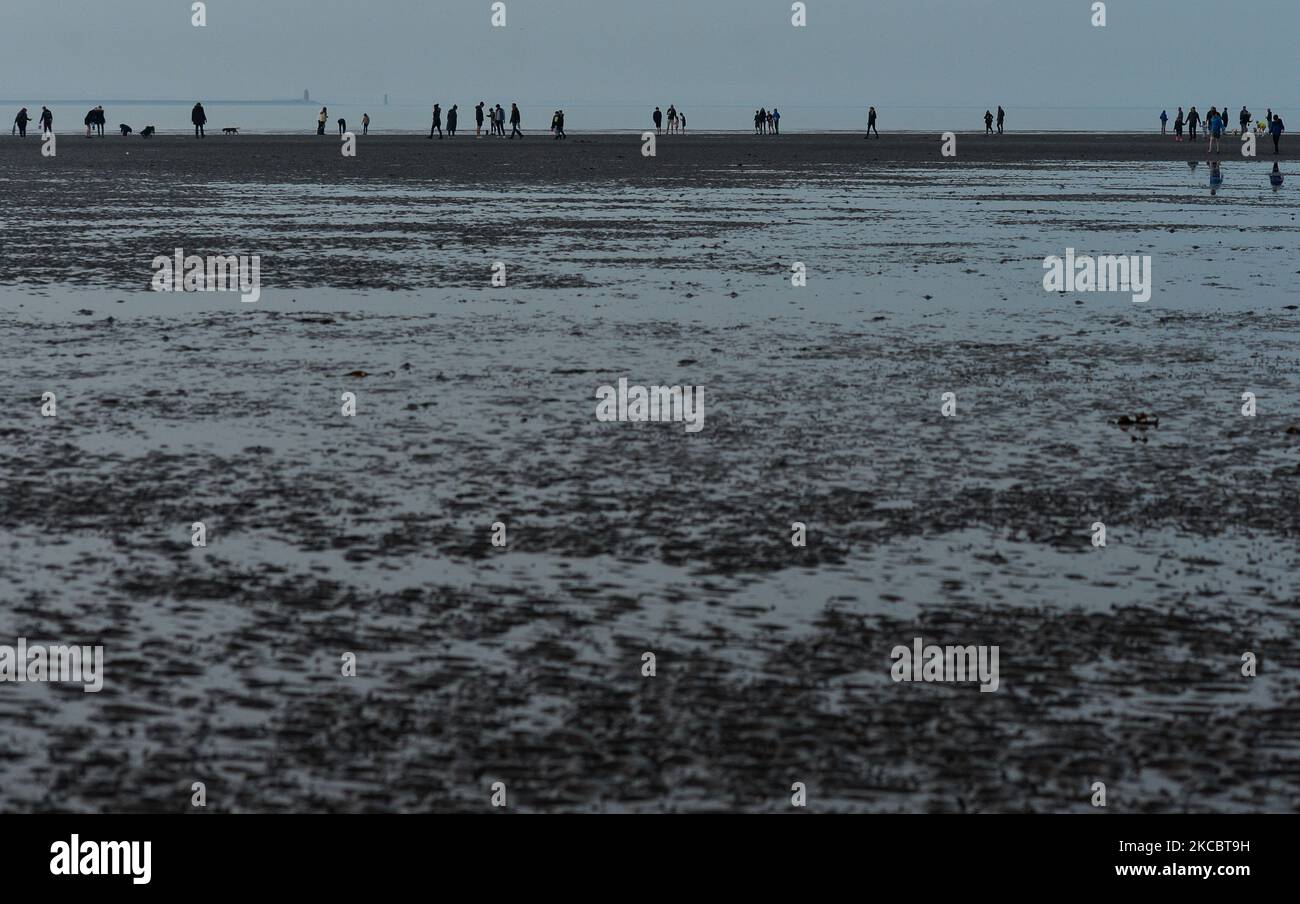 Recreational razor clam pickers hi-res stock photography and images - Alamy