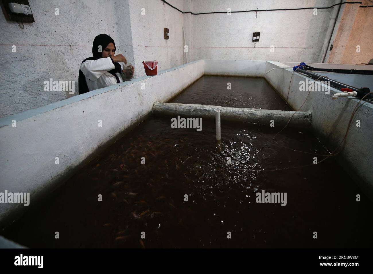 Algerian fish markets hi-res stock photography and images - Alamy