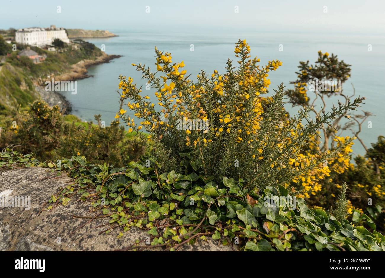 A general view of of Dalkey near the Vico bathing place, Hawk Cliff ...