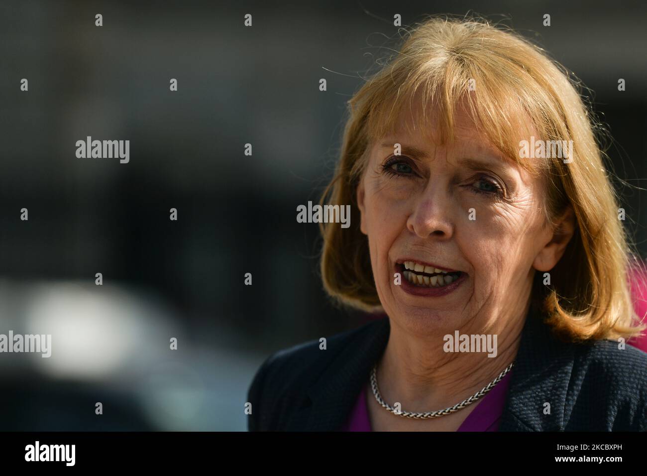 Roisin Shortall, an Irish Social Democrats politician, speaking to the ...