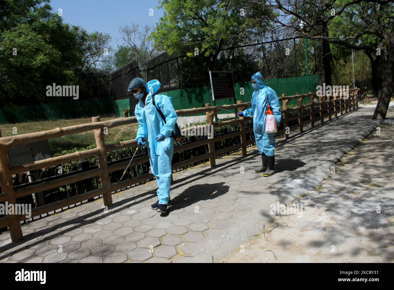 Workers wearing personal protective equipment (PPE) disinfect an ...