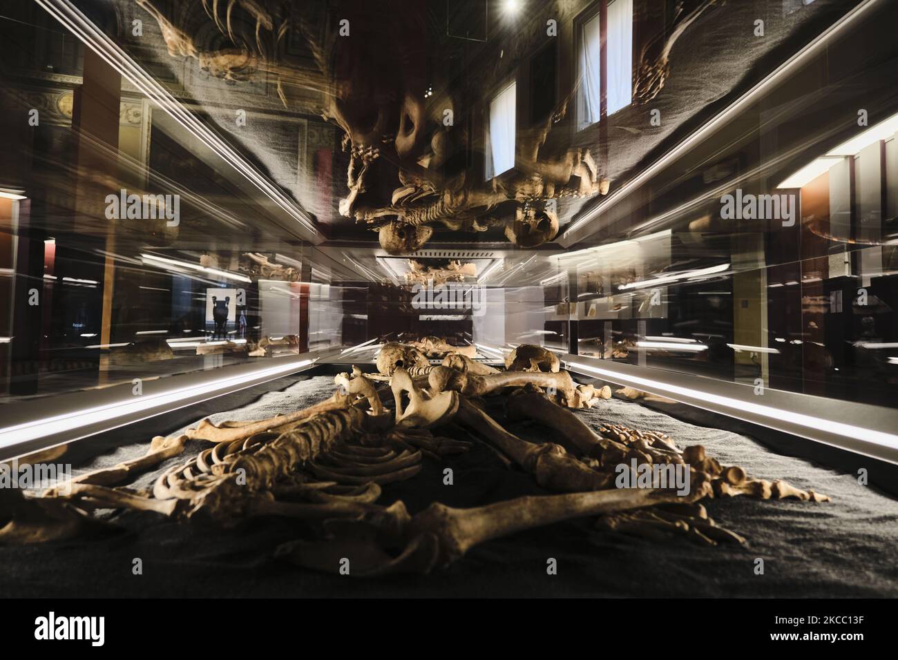 Skeletons of gladiators hi-res stock photography and images - Alamy