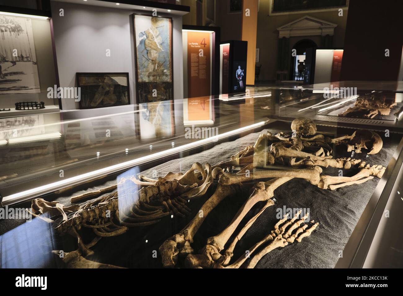 Skeletons of gladiators hi-res stock photography and images - Alamy